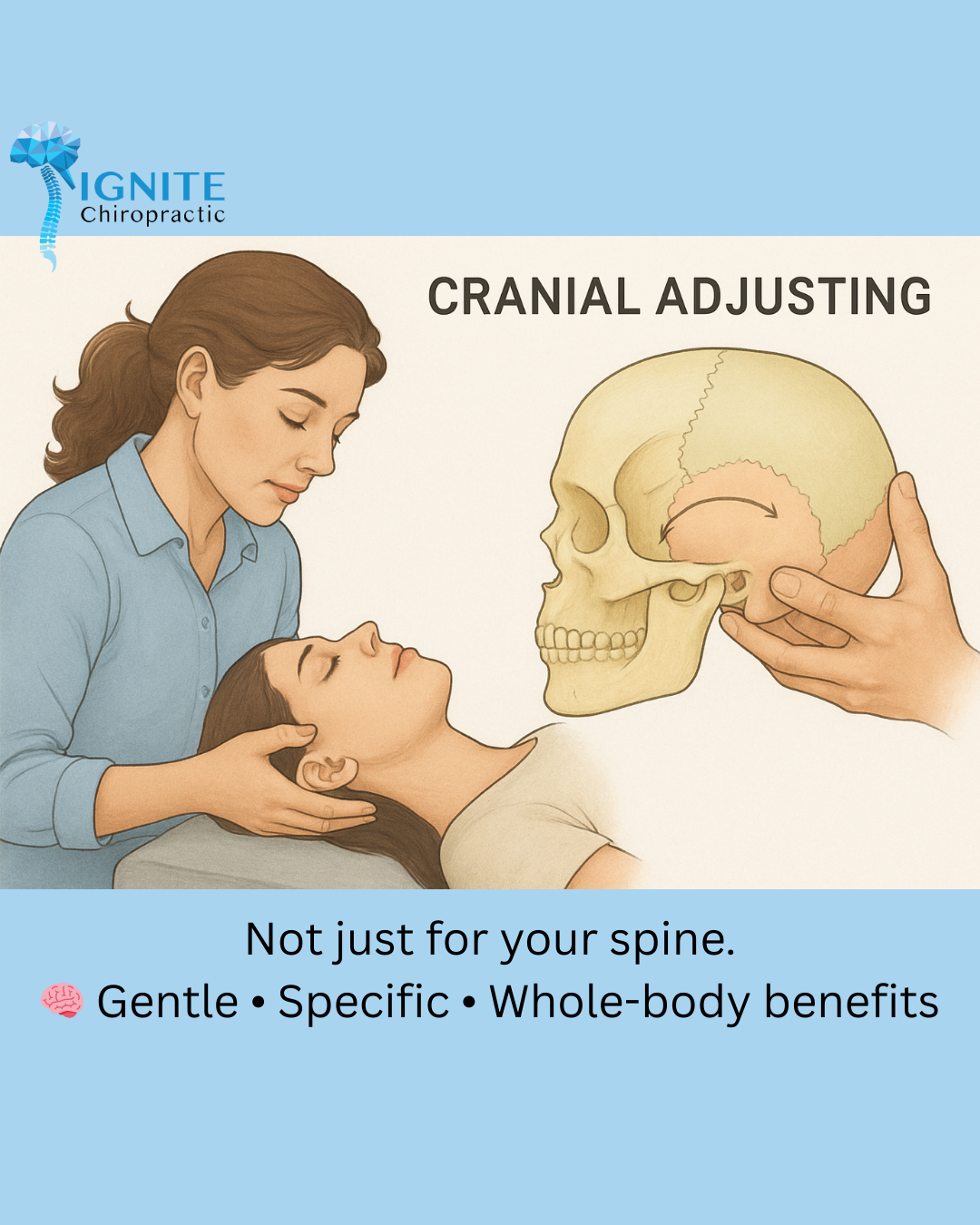 Cranial Adjusting – Beyond the Spine - Chiropractor North Shore